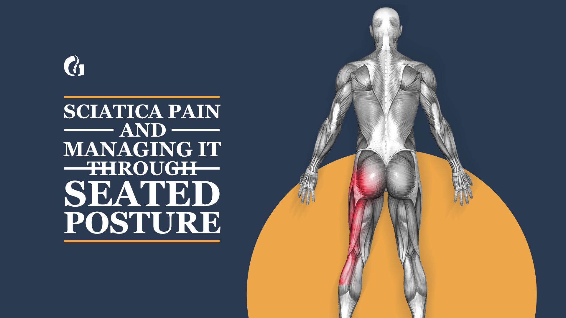 Sciatica Pain: How Better Seated Posture Can Help You Manage It